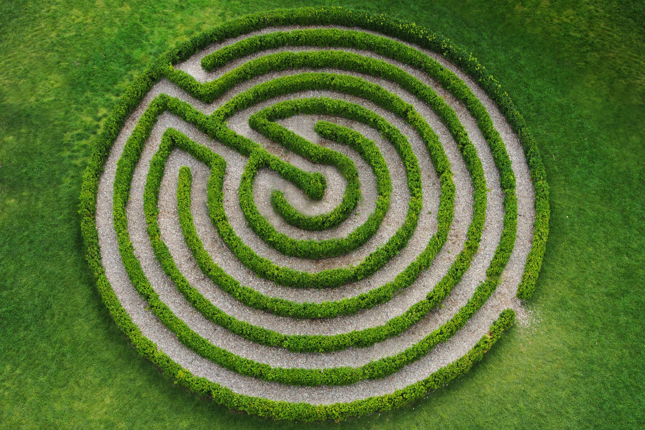 Flourish Fast Track | Vibrant Wellbeing